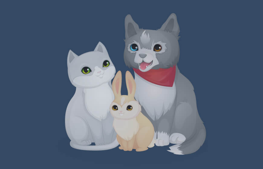 เตรียมตัวอย่างไรดี?เมื่อคิดจะเลี้ยงสัตว์ในบ้าน - Tararom