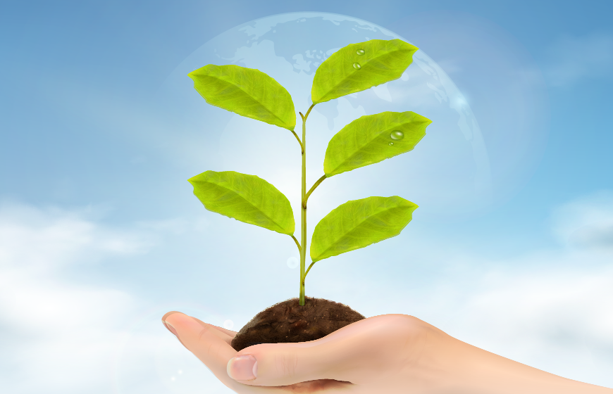 ปลูกต้นไม้ 1 ต้น เพิ่มพื้นที่สีเขียวให้โลก - Tararom