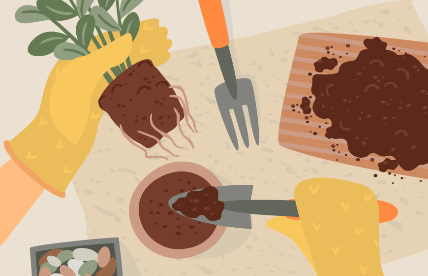 3 ไอเดีย DIY กระถางต้นไม้รักษ์โลก - Tararom